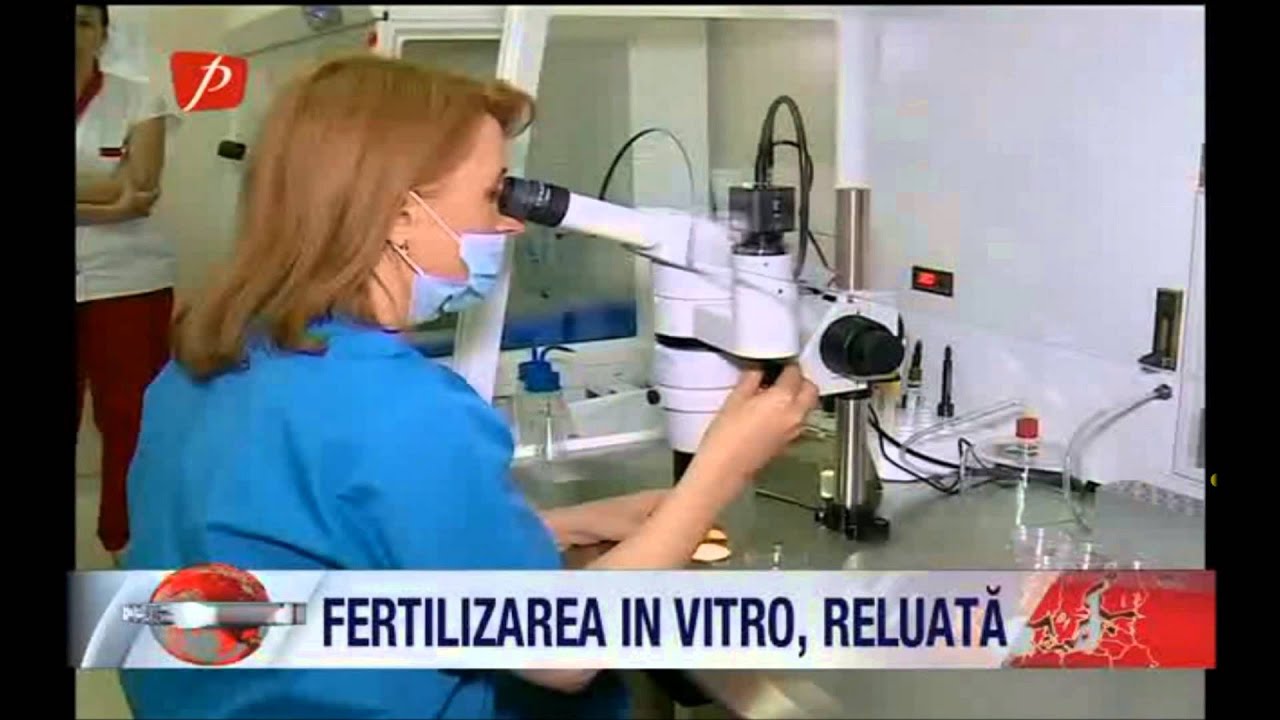 Programul de fertilizare in vitro se reia din 2015 - YouTube