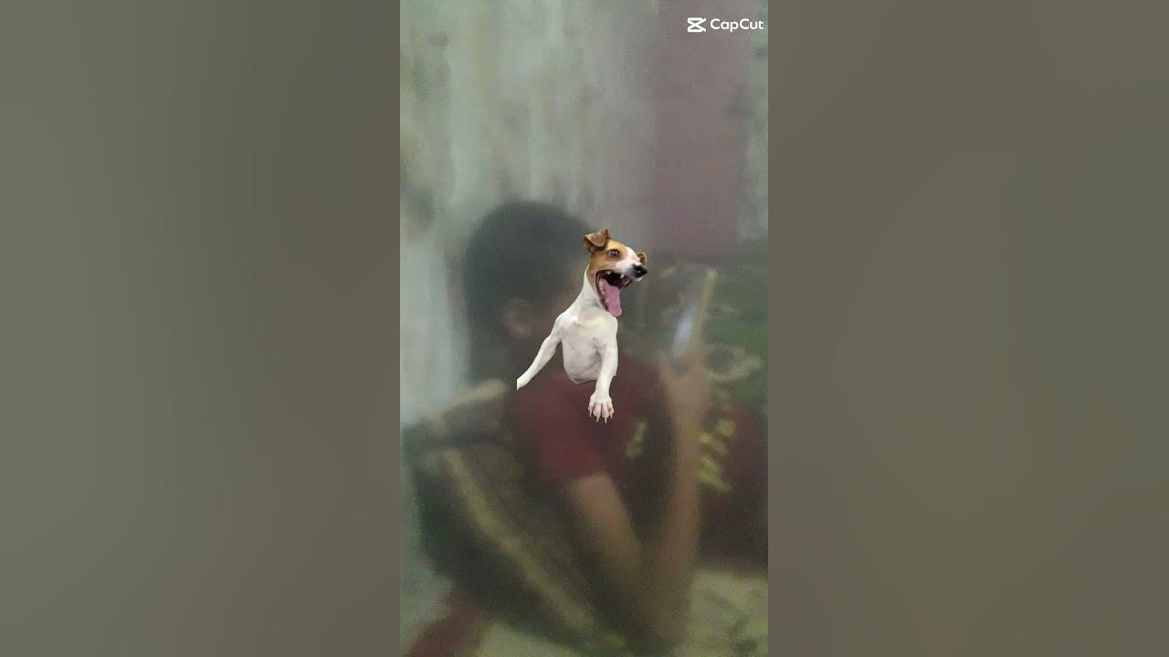 ١١ أيلول ٢٠٢٤ - YouTube