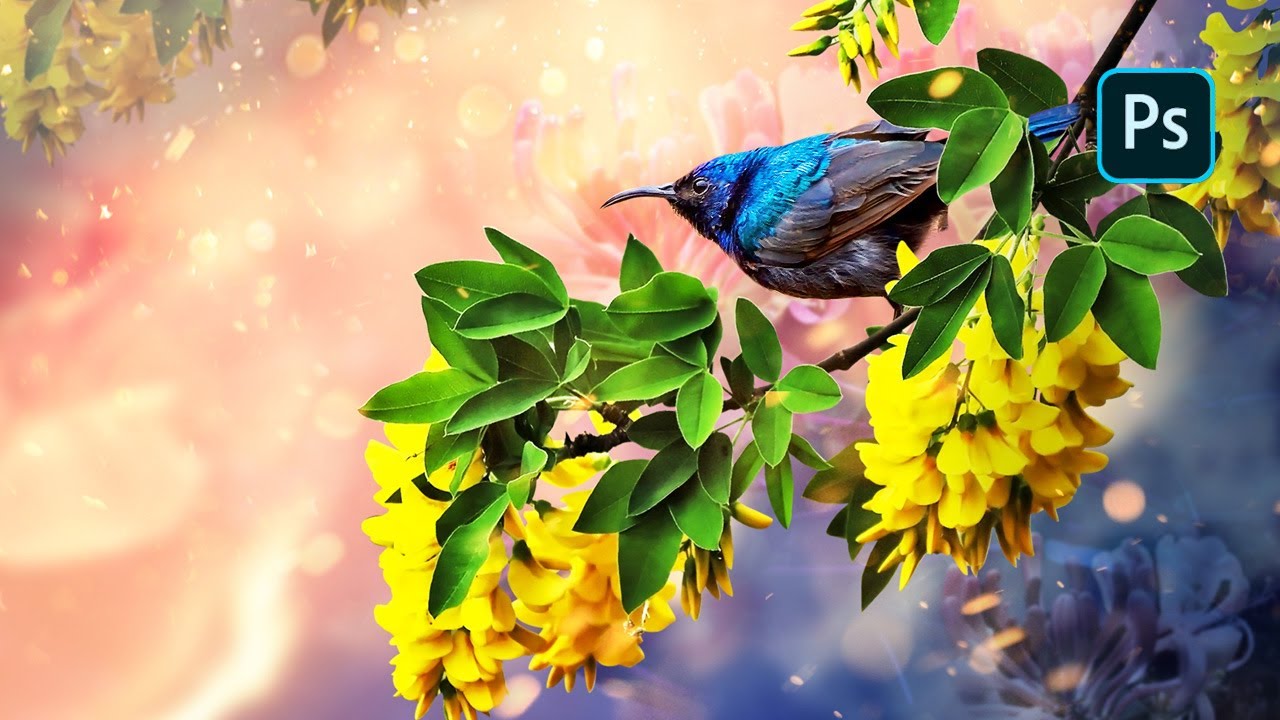 Beatiful bird Wallpaper - photoshop manipulation | FREE PSD FILE - YouTube