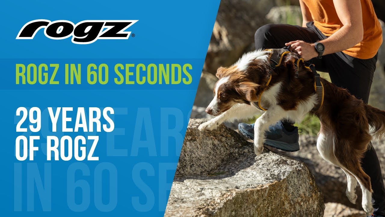 ROGZ in 60 seconds - YouTube