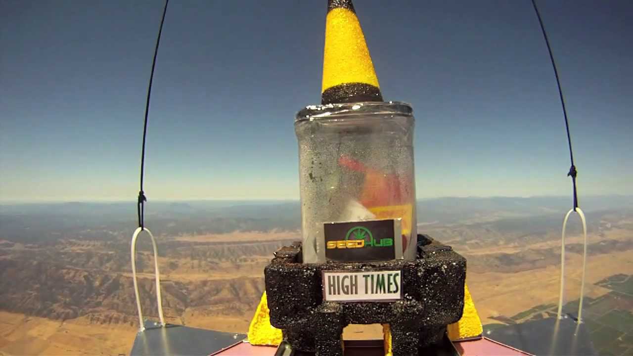 International Space Station Weed