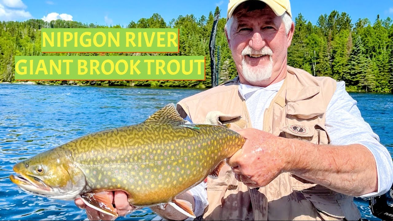Nipigon River Giant Brook Trout - YouTube