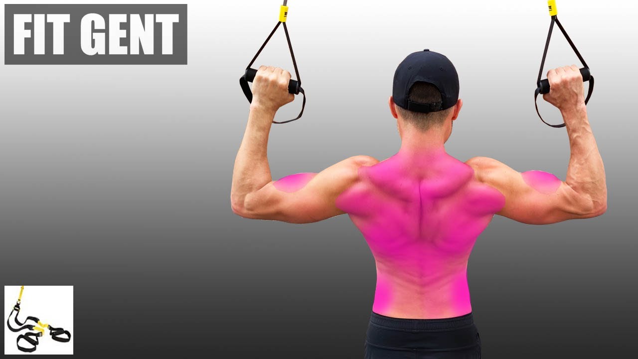 BACK BICEPS AND OBLIQUES WORKOUT FOR TRX - YouTube