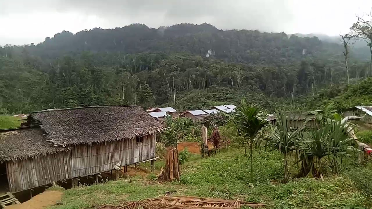 Suasana Kampung di Papua - YouTube