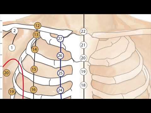 Finding the upper jiao acupuncture points on yourself - Danny Blyth ...