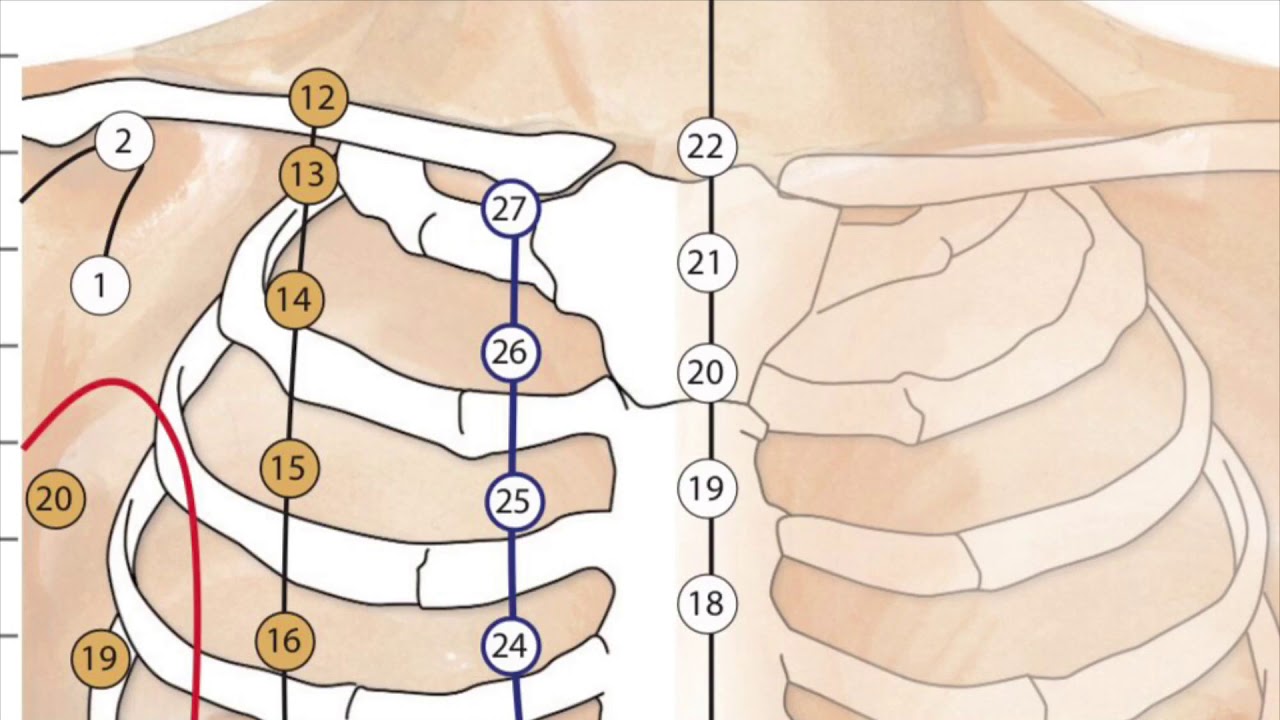 Finding the upper jiao acupuncture points on yourself - Danny Blyth ...