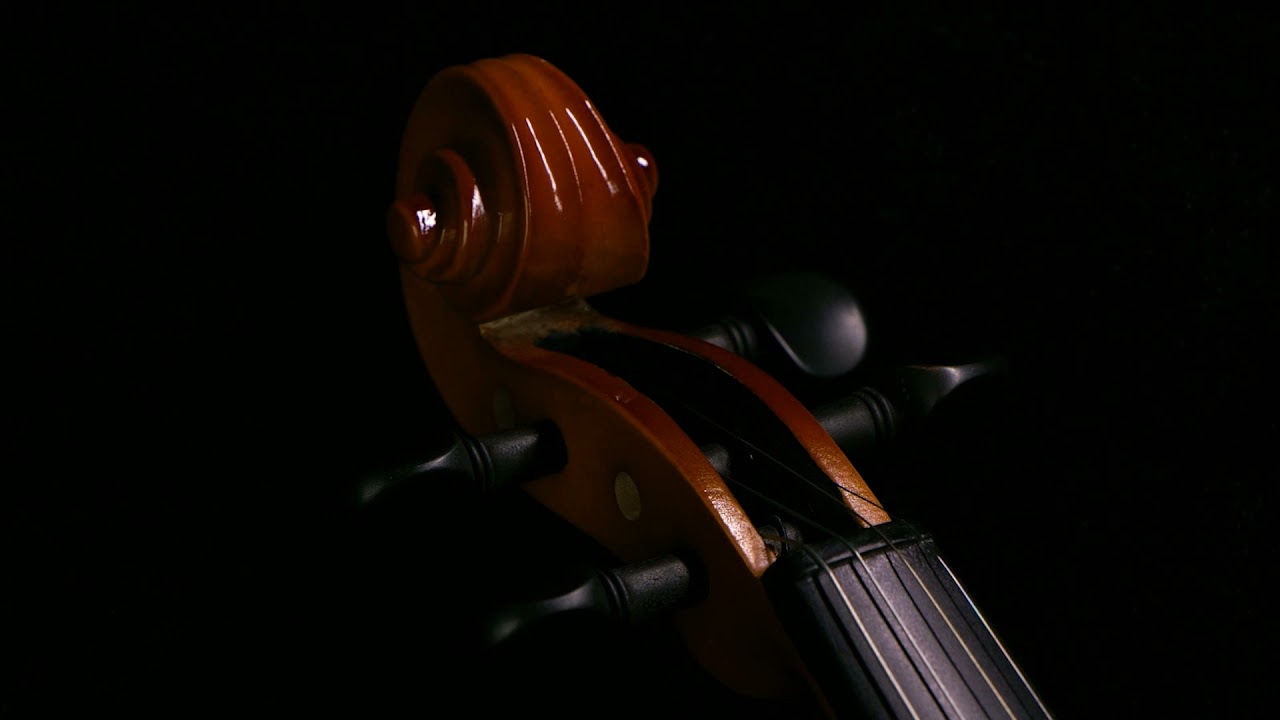 Eastar EVA-330 4/4 Solid Wood Violin Set Full Size for Students Adults ...