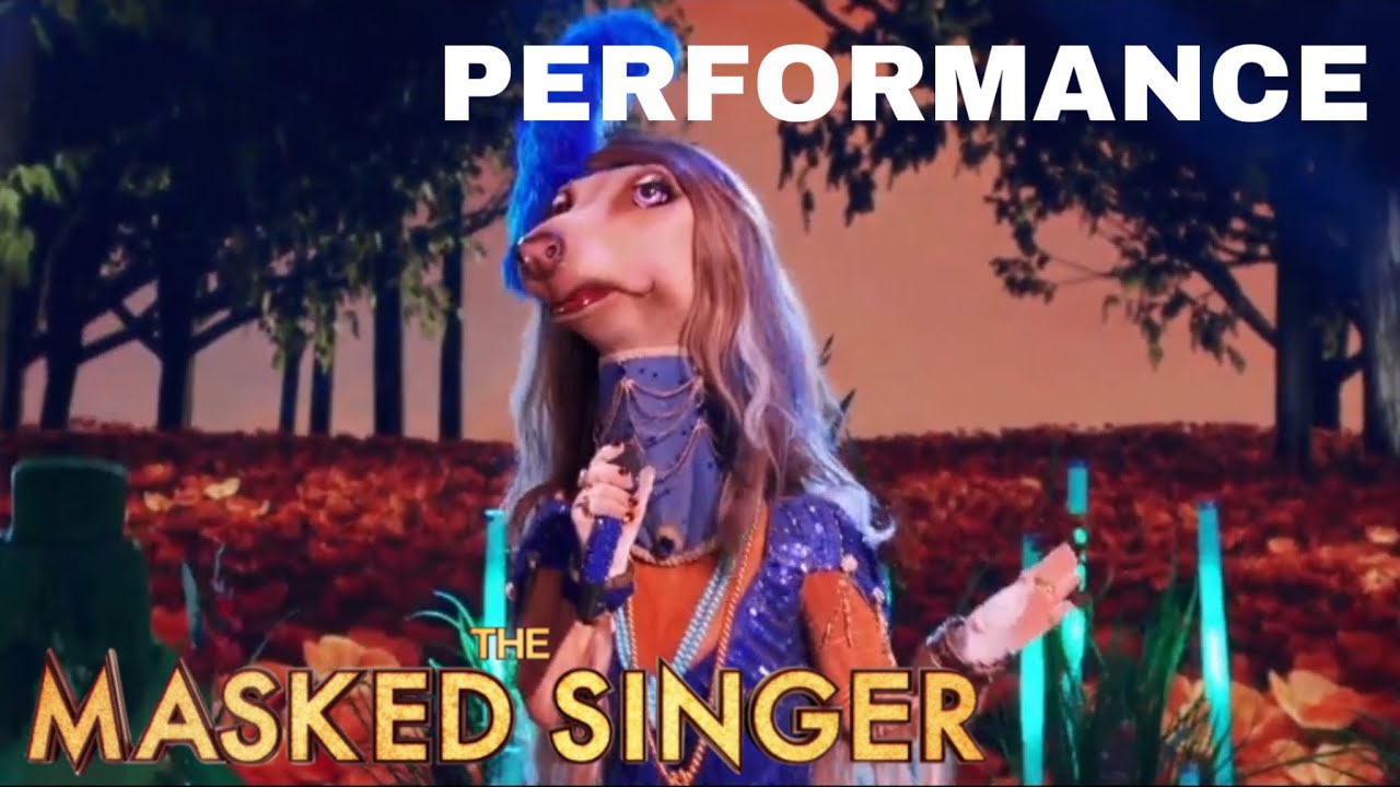 Afghan Hound sings “The Lion Sleeps Tonight” by The Tokens | The Masked ...