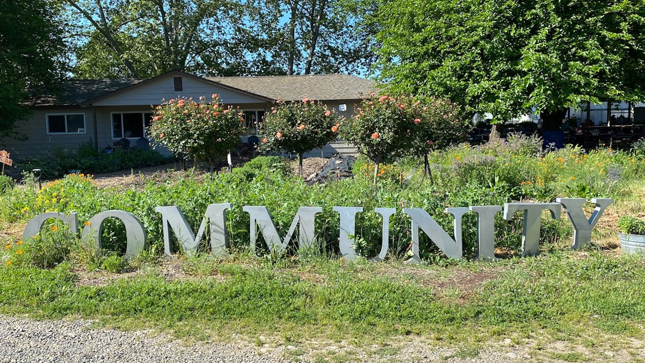 24 Years of Sowing, Growing and Cultivating Community: The Soil Born ...