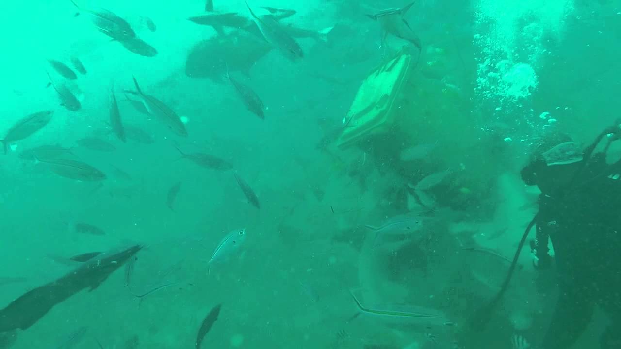 Diving Bega Island, Fiji March 2014 Shark Dive pt2 - YouTube