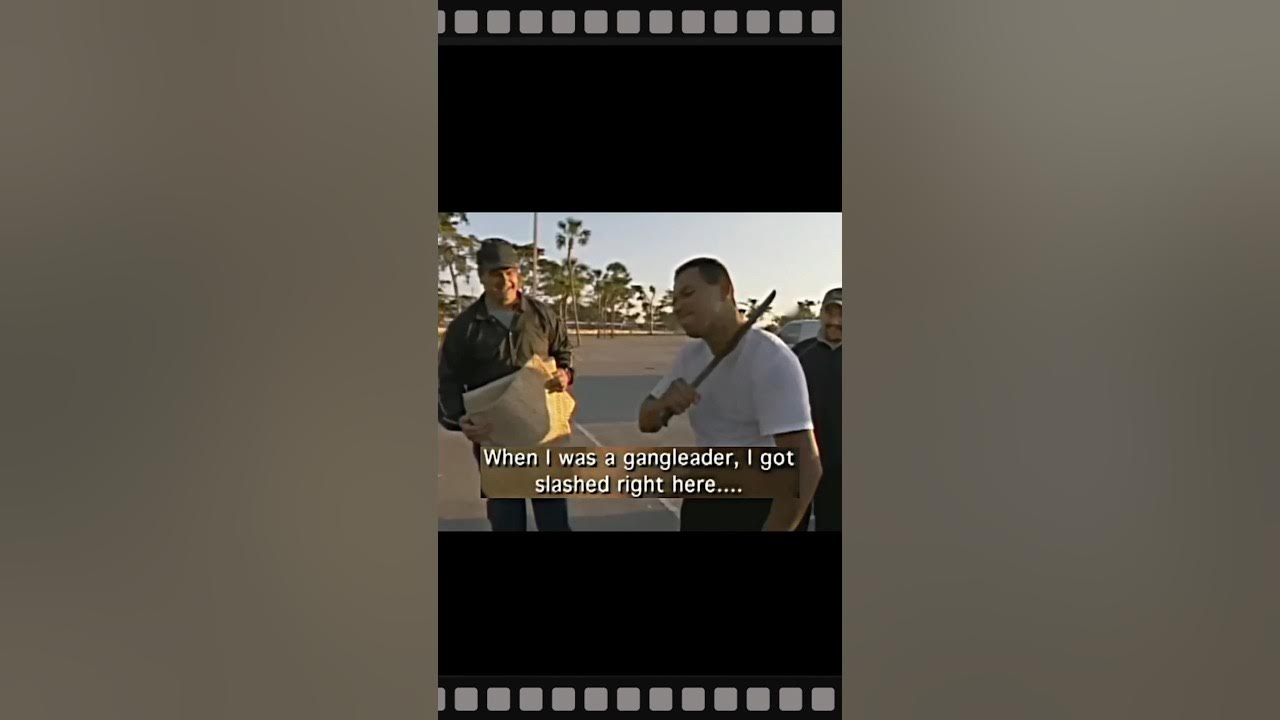 The most rat boxer of all time #shorts - YouTube