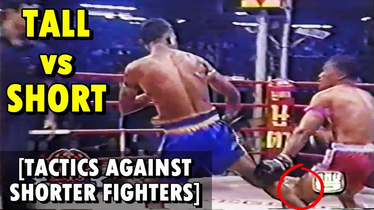 Tall vs Short - Tactics Against Shorter Fighters ft. Rittidet & Petdam ...