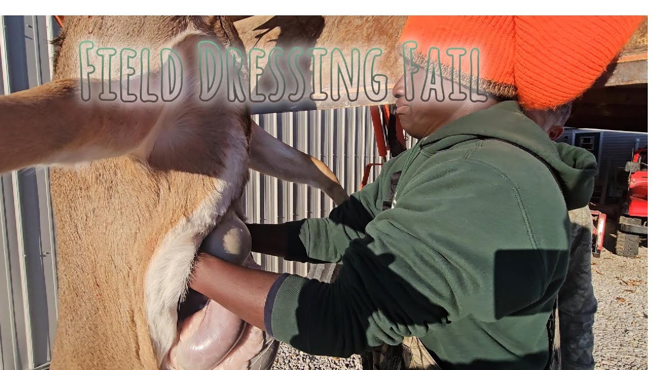 Field Dressing Deer Fail Funny - YouTube