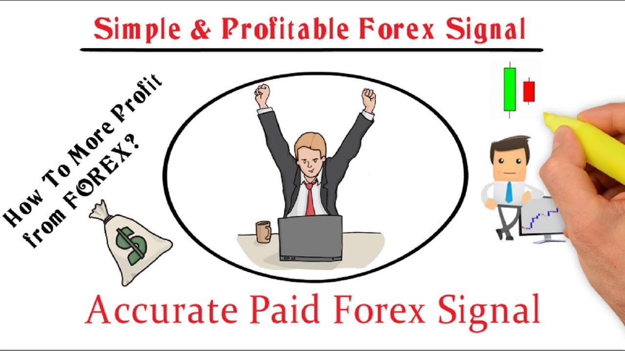 🔴 Proof of Forex Signal Profit | 100% Trusted Way of Forex Trading ...