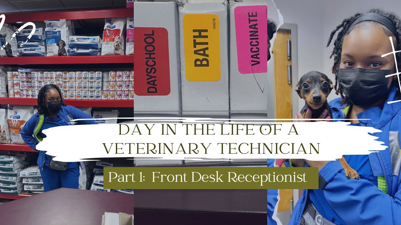 Day In The Life of A Vet Tech | Vet Tech Vlog | Part 1 🐾 - YouTube
