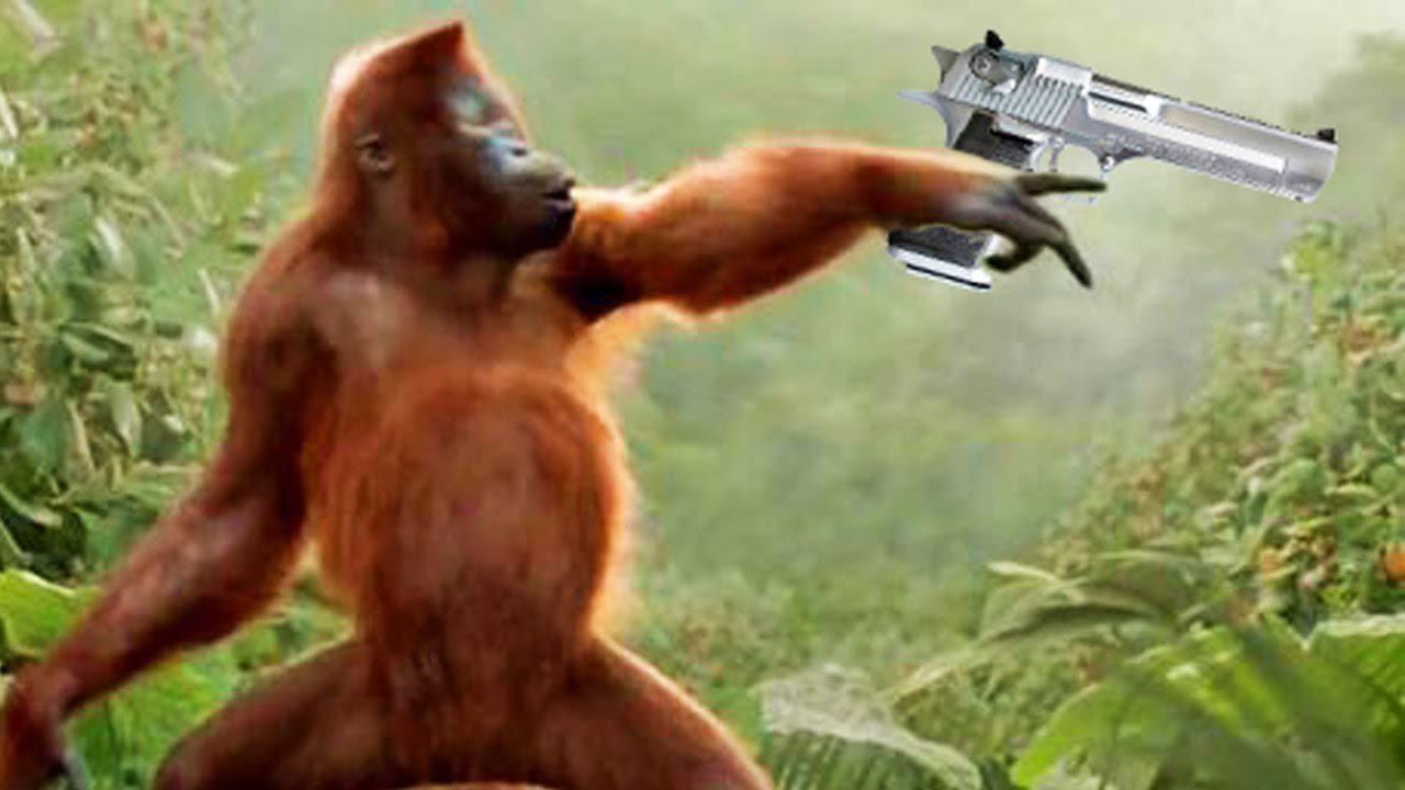 Texas Zoos Have A Hard Time Keeping Guns Out - YouTube