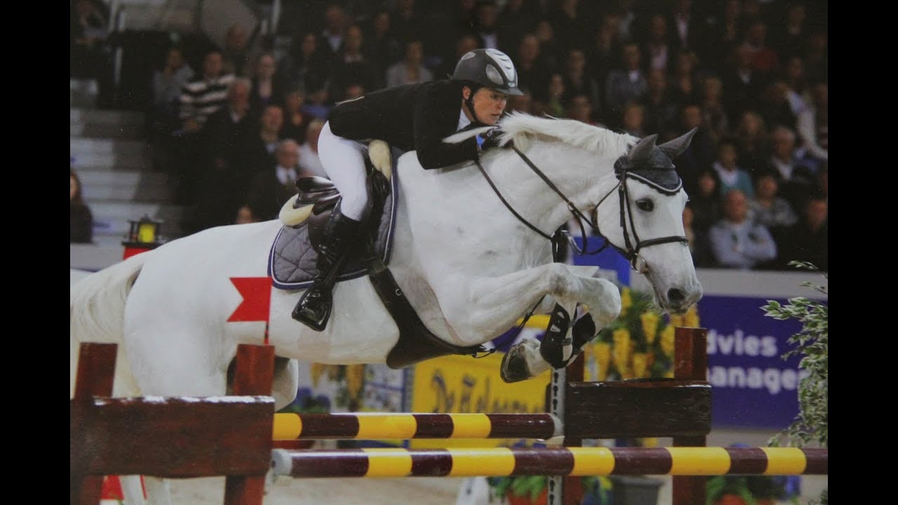 Cold as Ice Z ( Carthago Z x Ramiro Z x Agram ) international Grand ...