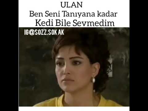 seni tanıyana kadar, kedi bile sevmedim #cehennem beat