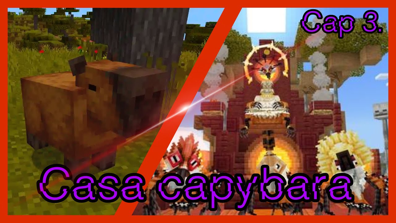 casa capybara cap 3 - YouTube
