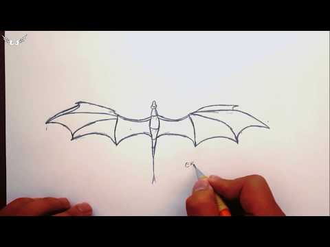 EKT - Karakalem Çok Kolay Adım Adım Ejderha Çizimi