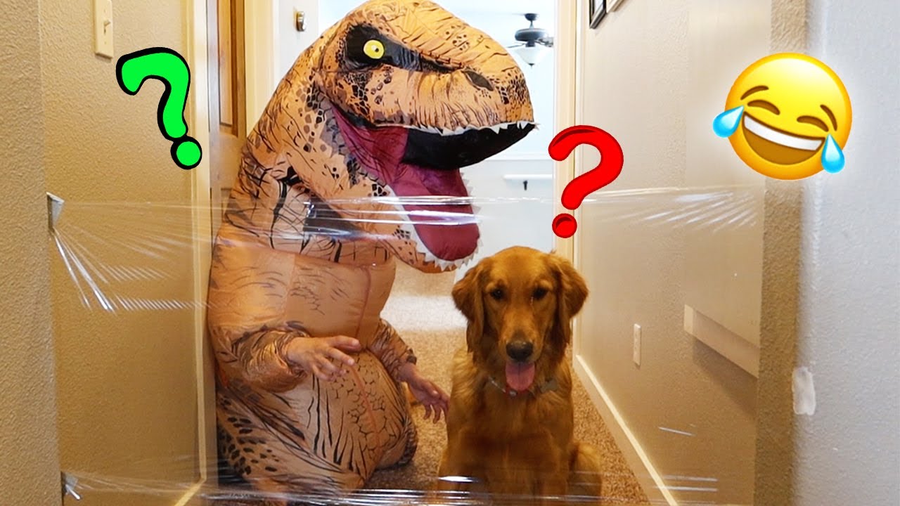 Scary T-Rex & Puppy VS Invisible Wall! - YouTube