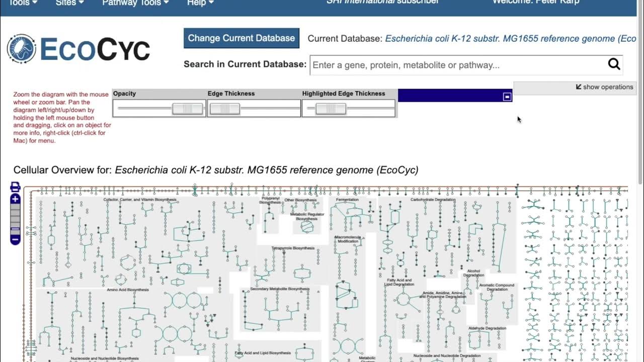 Analyze Transcriptomics And Metabolomics Data Youtube