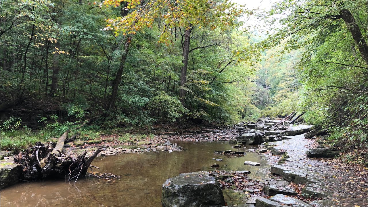 Discover Indiana's Secret Treasure: McCormick's Creek State Park & Wolf ...