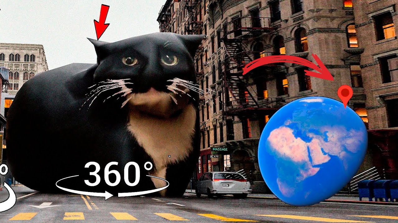 Giant Maxwell The Cat 360° in Real Life on Google - YouTube