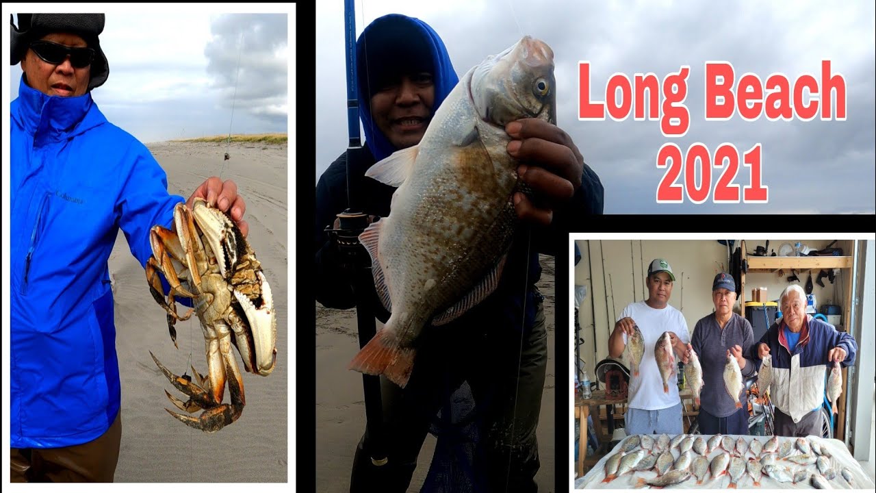 Long Beach Fishing [ Red Tail Perch / Surf Perch Washington State - YouTube