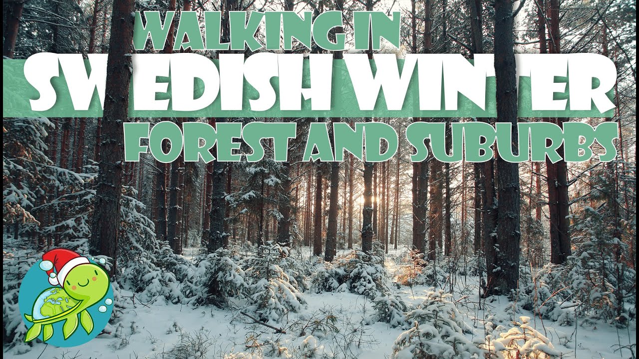 Swedish WINTER Forest and Suburbs - 4K Sweden walking - YouTube