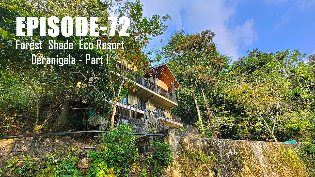 Episode 72 | Forest Shade Eco Resort [Part l] - Srilanka - YouTube