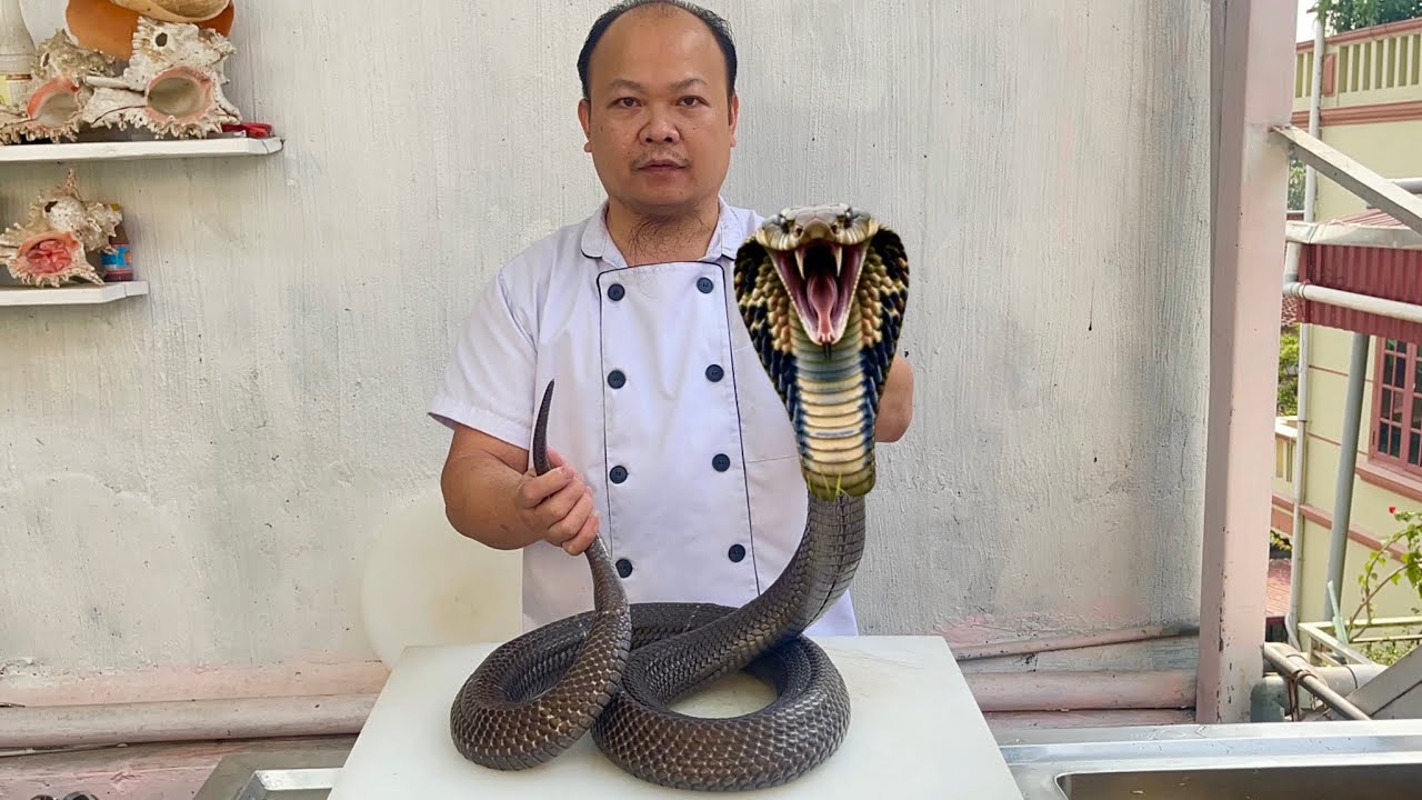 King cobra stewed with Chinese herbs. Vietnamese food // Vn Chef - YouTube