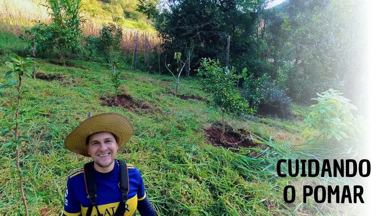 Cuidados com o Pomar: Roçada, Coroamento e Poda das Frutíferas 🍎 - YouTube