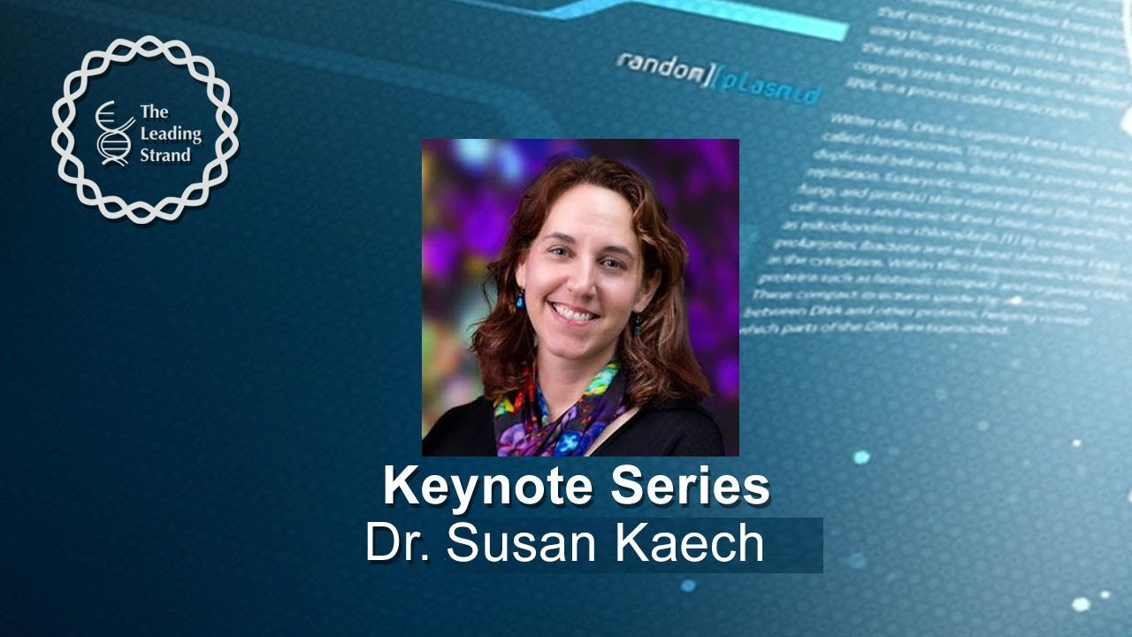 CSHL Keynote, Dr. Susan Kaech, The Salk Institute for Biological ...