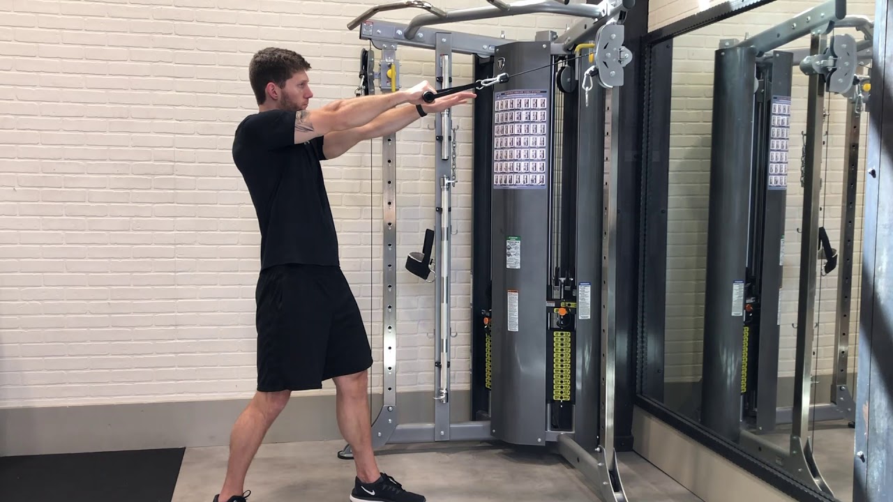 Single Arm Cable Archer's Row - YouTube