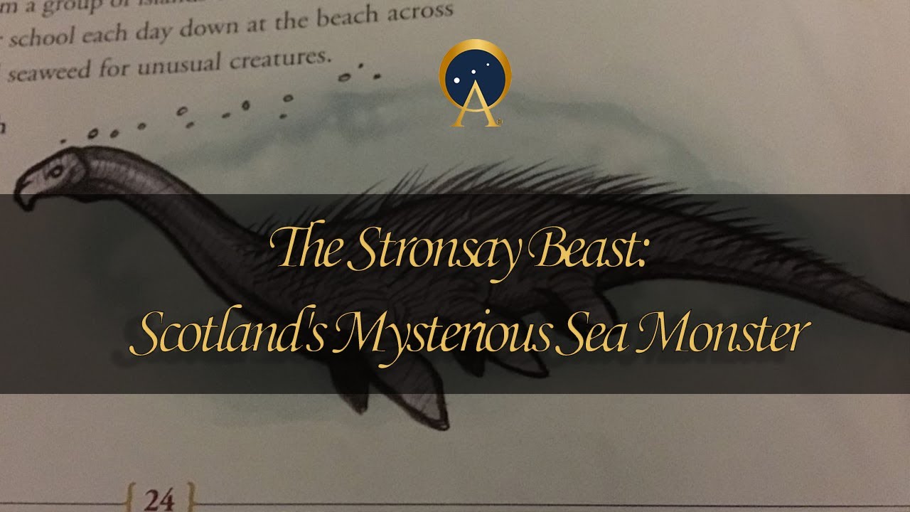 The Stronsay Beast Scotland's Mysterious Sea Monster - YouTube