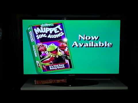 Opening To Winnie The Pooh: Un-Valentine's Day 1995 VHS