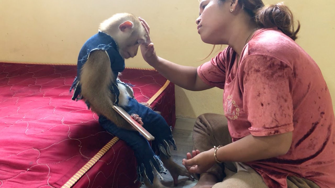 Handsome Jason Carry Phone Every Step & Agree To Does Hairstyle Wait ...