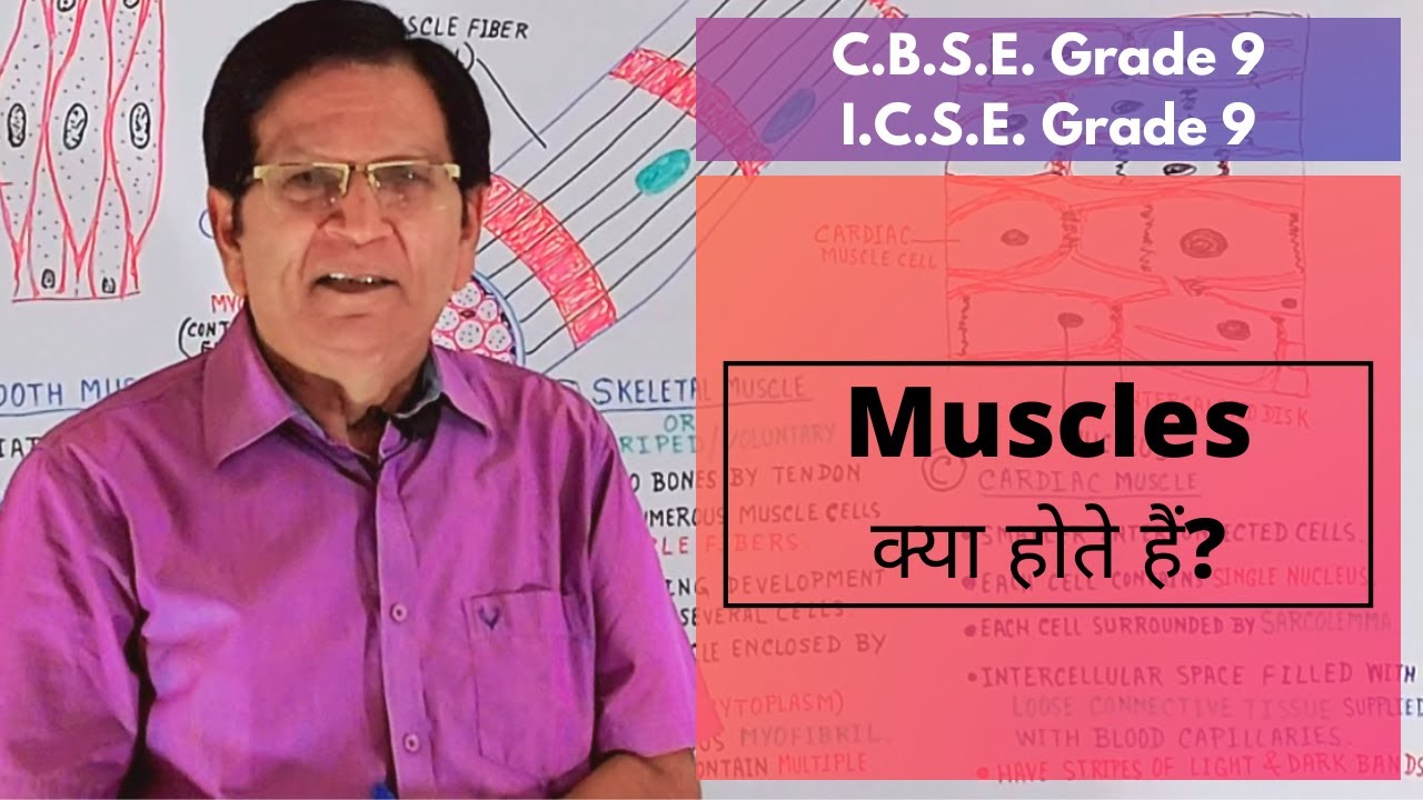 What Are Muscles? || Animal Tissues Part-5 || Grade 9 - YouTube
