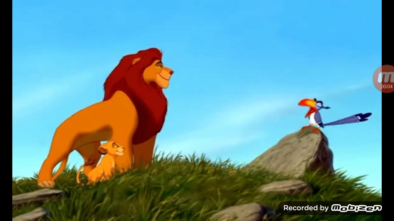Ghetto lion King Zazu got knock out - YouTube