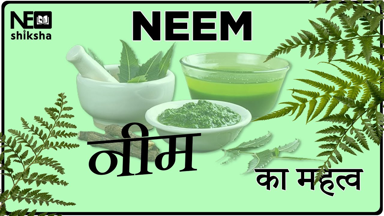 Neem Ka Mahatv। नीम का महत्व ।। Neem Ke Upyog। नीम के उपयोग ...