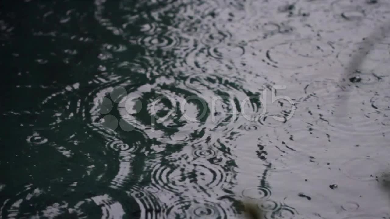 Rain Drops On Puddle. Stock Footage - YouTube