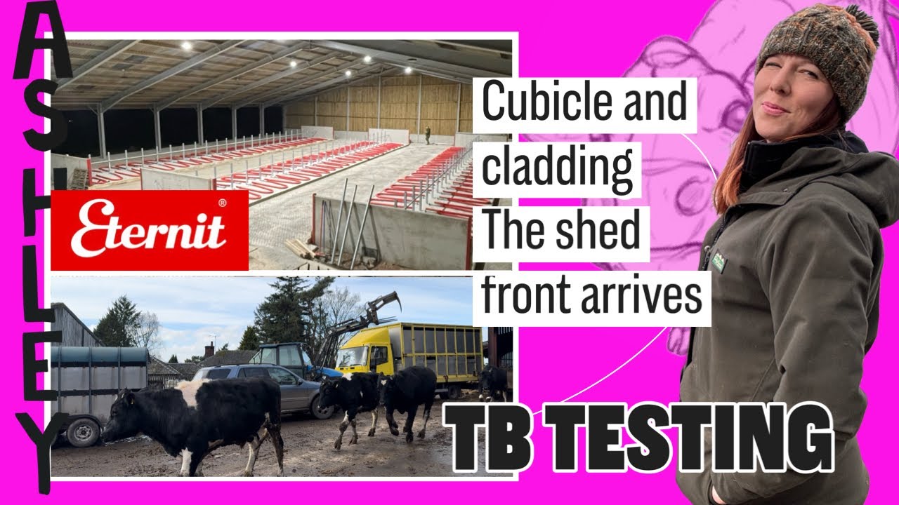5th March cubicles laid out whole herd TB test cladding arrives ...