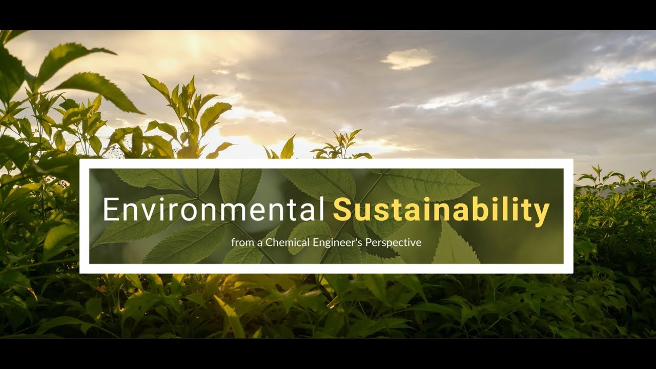 Environmental Sustainability (Pecha Kucha) Presentation - YouTube