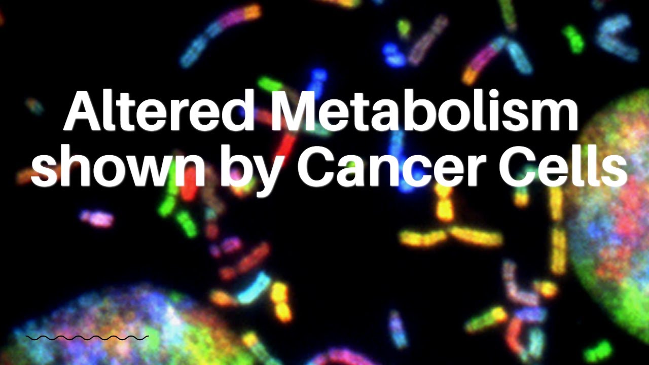 Altered Metabolism shown by Cancer Cells| Explained| Cancer Biology ...