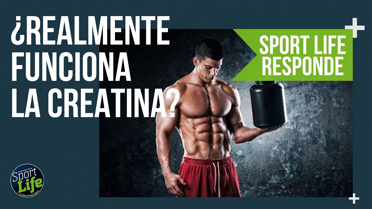 CREATINA ¿Realmente funciona? ¿Cuáles son sus beneficios? | SPORT LIFE ...