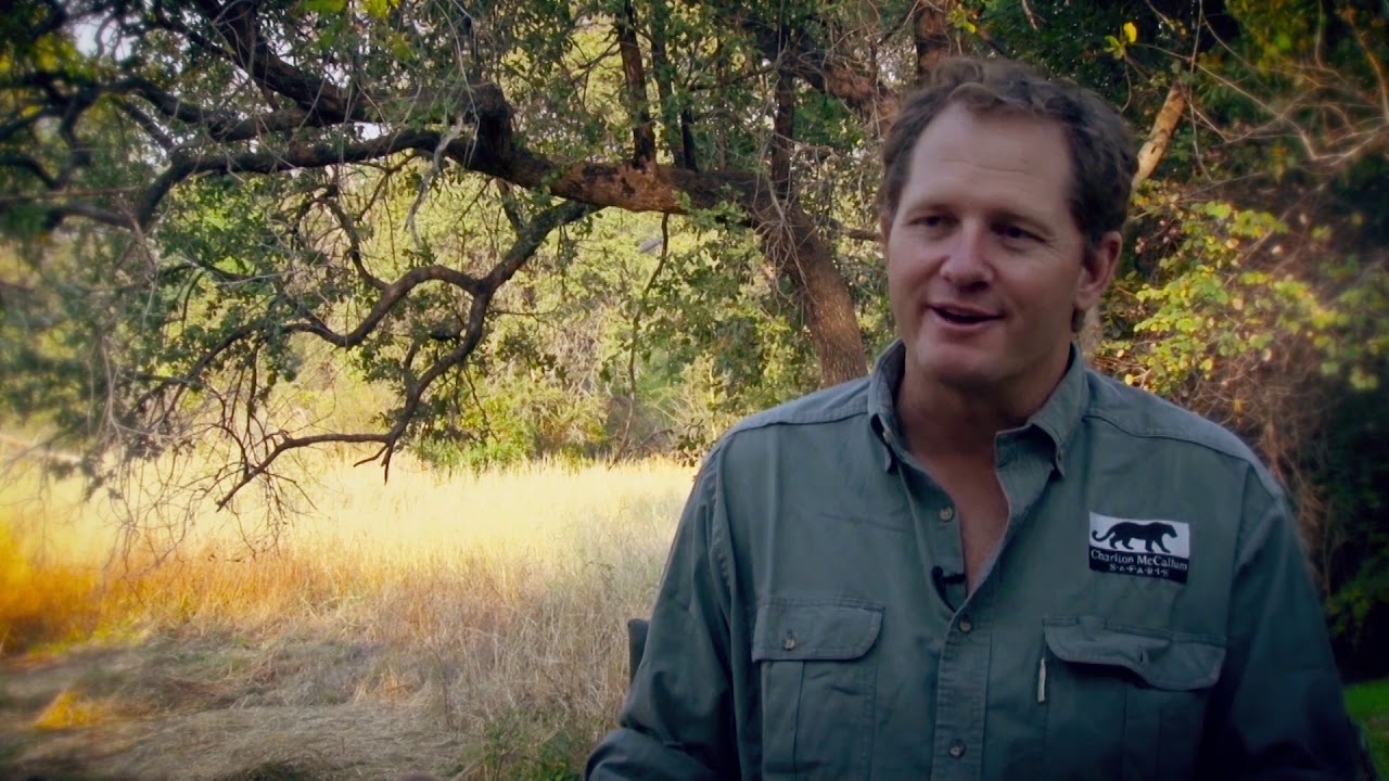 Conservation Perspective: Myles McCallum - YouTube