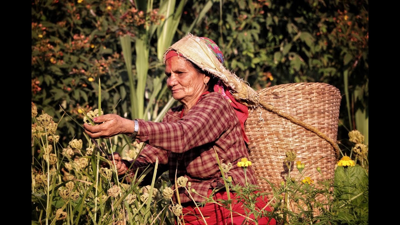 DAUTARI BISHESH SAMBAD ..‘इयर अफ मिलेट्स’ फोटो प्रतियोगितामा राज ...