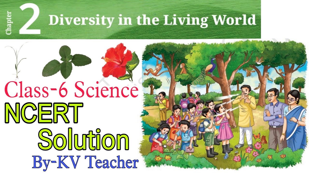 Diversity in the Living World / NCERT Question Answers Chapter-2 Class ...