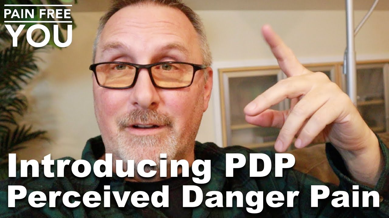 Introducing PDP - Perceived Danger Pain - YouTube